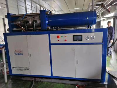 Cina Creatore industriale della pallina di ghiaccio secco da vendere la dimensione dell'attrezzatura di produzione del ghiaccio secco 500Kgs H 3mm 19mm in vendita