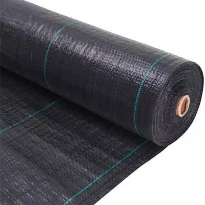 Cina Accessori artificiali neri dell'erba in vendita