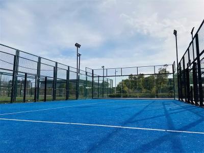 Cina Acciaio panoramico 12mm all'aperto Q235 10mx20m della corte di paddle tennis in vendita