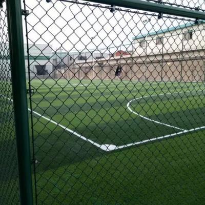 Cina 50mm Football Artificial Synthetic Grass Soccer Turf in vendita