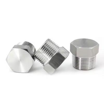 China Casting Hexagon Head Plug for Customized Support OEM DN 6-DN 100 ASTM B333 B622 B775 Alloy B-2 / UNS N10665 / W.Nr. 2.4617 for sale