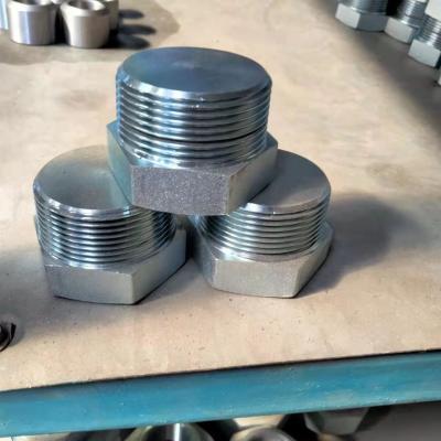 China Casting Hexagon Head Plug for Customized Support OEM DN 6-DN 100 ASTM B333 B622 B775 Alloy B-2 / UNS N10665 / W.Nr. 2.4617 for sale