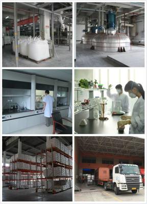 Cina 96/4 di Primid ha mescolato la resina del poliestere per i rivestimenti bassi della polvere di lucentezza in vendita