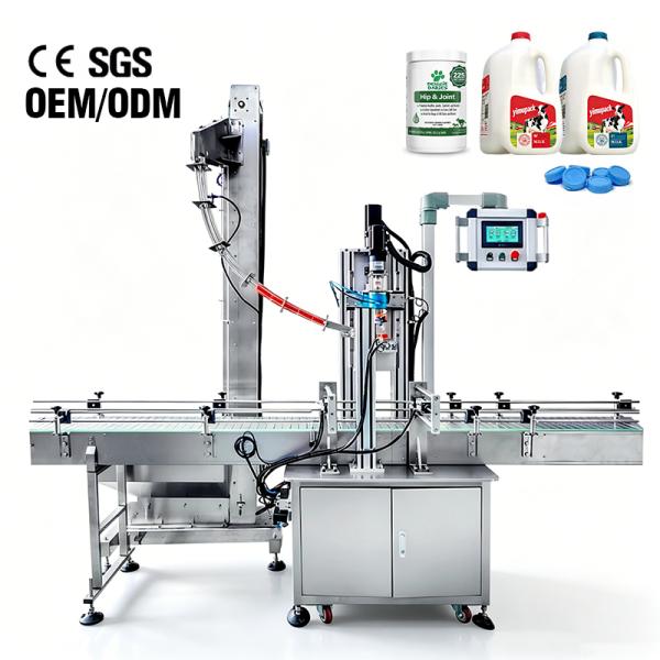 Quality Touchscreen Bottle Screw Automatic Capping Machine For Plastic Bucket Lid OEM for sale