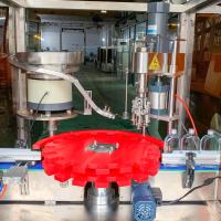China High Quality RM100 Automatic Bottle Capping Machine Beer and Wine Ropp Capping Machine Perfume Bottle Capping Machine for sale