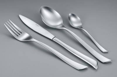China Fairy OEM good quality stainless steel flatware 18/10 material 16 pcs cutlery set in matt finish in color box for sale