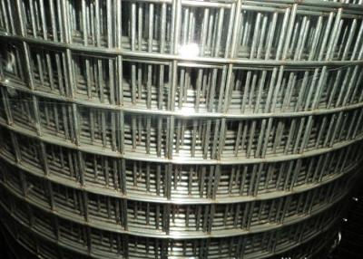 China 0,148 im Edelstahl-Vogel Mesh Anti Rust 1x1 schweißte Draht-Zaun zu verkaufen
