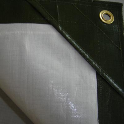 China Waterproof PE black tarpaulin canvas tarpaulin polyethylene tarp fabric sheet for sale