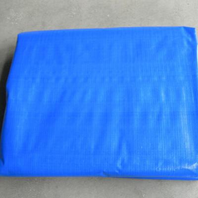 China PE tarpaulin waterproof plastic sheet tarp with aluminum eyelet for sale