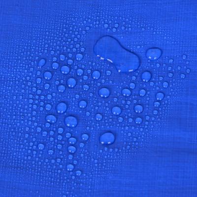China High quality double blue PE tarpaulin poly woven material in roll for agriculture & industrial covers for sale