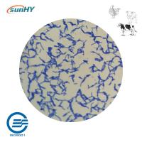 Quality 10 Billion Cfu/G Bacillus Coagulans Probiotics For Animal High Concentrate for sale