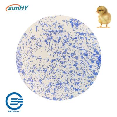 China ISO 14.1 Billion Cfu/G Probiotics For Animal Zeolite Powder Carrier for sale