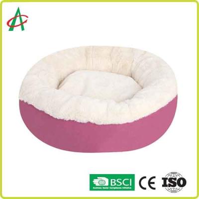 Cina 31,5