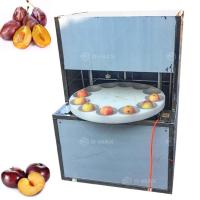 China Good Performance Plum Stoner Cherry Stone Removing Machine for Fruit Processing Industry for sale