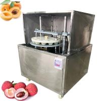 China Good Performance Plum Stoner Cherry Stone Removing Machine for Fruit Processing Industry for sale