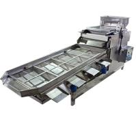 China Almond Peanut Crusher And Sorter The Perfect Machine For Nut Processing for sale