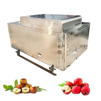 China 1.5kw Palm Dates Kernel Removing Machine for Red Dates Pitting and Green Plum Seed Removal for sale