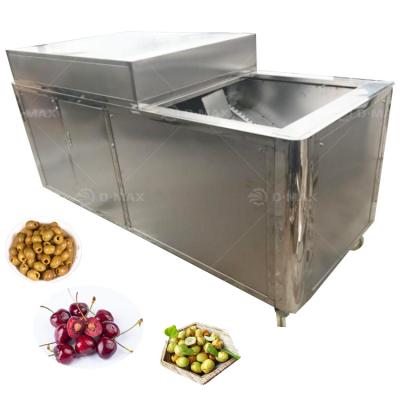 China 1.5kw Palm Dates Kernel Removing Machine for Red Dates Pitting and Green Plum Seed Removal for sale
