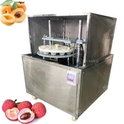 Cina Macchina per la rimozione del nocciolo di giuggiolo invernale per frutti medi vantaggio basso consumo in vendita