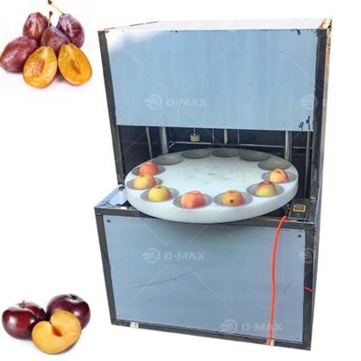 China Fruits Pitting Machine Lychee De-seeding Machine for Seed Removal of Apple and Lychee for sale