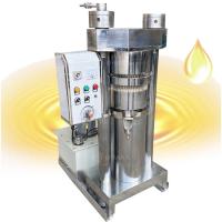 China Easy Hydraulic Oil Extraction Press Machine for Cold Pressed Avocado Sesame Nut Processing for sale