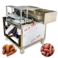China High Speed Cherry Core Pitter Olive Date Core Pitting Machine for Automatic Operation for sale