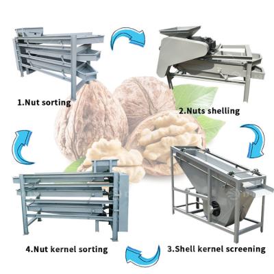 China Professional Walnut Sheller Machine for Soap Nuts Raw Material Peeled Almond for sale