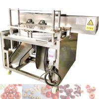 China 250-300kg/h Capacity Multi-Function Dates Seeds Removing Machine for Commercial Usage for sale
