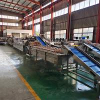 China Tomato Washing and Sorting Machine for Small Processing Plant Tomato Paste Production for sale