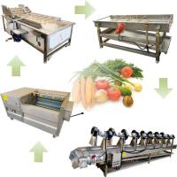 China Industrial Fruits Cleaning Drying Processing Machine Line for Fruit Processing Industry for sale