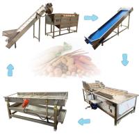 China Full-automatic Vegetable Fruit Washing and Drying Machine for Cleaning Processing Line for sale