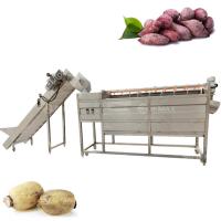 China Full-automatic Vegetable Fruit Washing and Drying Machine for Cleaning Processing Line for sale