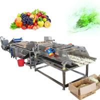 China Full-automatic Vegetable Fruit Washing and Drying Machine for Cleaning Processing Line for sale