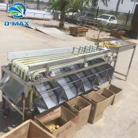 China Red Dates Size Sorting Machine for Customized 4-7 Grades Palm Dates Classification for sale