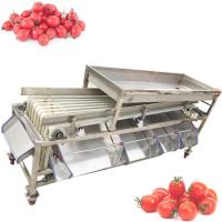 China Multifunctional Diameter Sorting Machine for Sorting Fruits and Vegetables Efficiently for sale