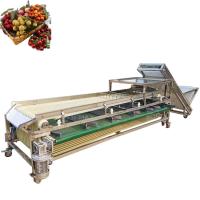 China Multifunctional Diameter Sorting Machine for Sorting Fruits and Vegetables Efficiently for sale