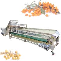 China Multifunctional Diameter Sorting Machine for Sorting Fruits and Vegetables Efficiently for sale