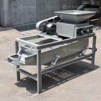 China Automatic Nut Roasting Machine Save Labour and Boost Profits for Commercial Processing for sale