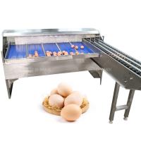 China Electronic Poultry Farm Machinery Egg Grading Machine 200W Duck Egg Sorting Classifier for sale