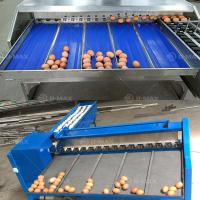 China Electronic Poultry Farm Machinery Egg Grading Machine 200W Duck Egg Sorting Classifier for sale
