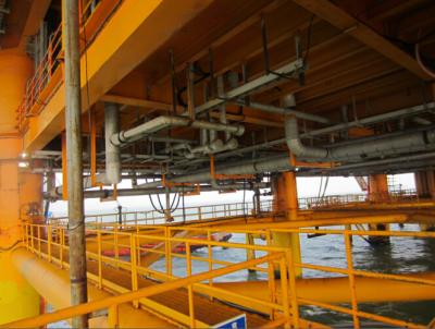 Cina rottura ad alta pressione delle cellule dell'omogeneizzatore 1500W protetta contro le esplosioni in vendita