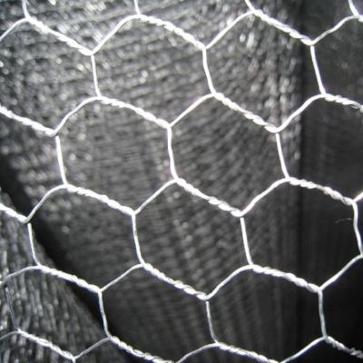 China Hexagonal wire netting /chicken wire/ hexagonal wire mesh Cheap Electro galvanized Rabbit wire mesh / chicken wire / for sale
