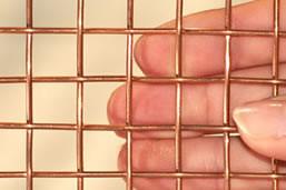 China Phosphor Bronze Wire cloth for sale