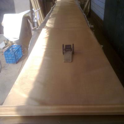 China Phosphor Bronze Wire Mesh Factory for sale