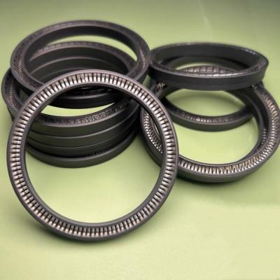 China PTFE PEEK Material Spring Energized Seals For Canned Equipment High Temp Resistance for sale