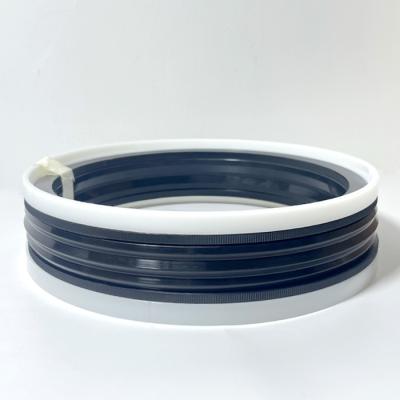 Cina TPM-492393/492413 Sigillo combinato Ingegneria Sigillo ad olio di plastica Sigillo ad olio combinato a cinque pezzi in vendita