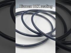 FEP Tetrafluoro gomma di silicone fluorosuccia rivestita O-ring, guarnizione rivestita in fluorosuccia
