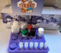 Quality Pufferfish Shrimp Tetrodotoxin TTX ELISA Test Kit Fast Detection Time 1.5 Hours for sale
