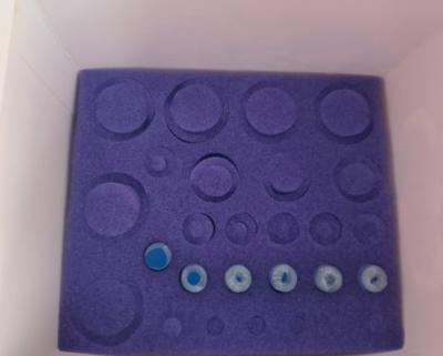 중국 미코톡신 (AFB1 /DON) 이중 형광량 검사 카드 판매용