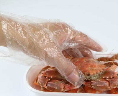 Cina Erogatore biodegradabile del guanto eliminabile del PE di Touchless in vendita